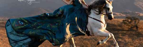 Equine Photographers Network - Equine Photographers Network