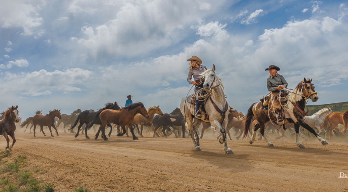Equine Photographers Network - Equine Photographers Network