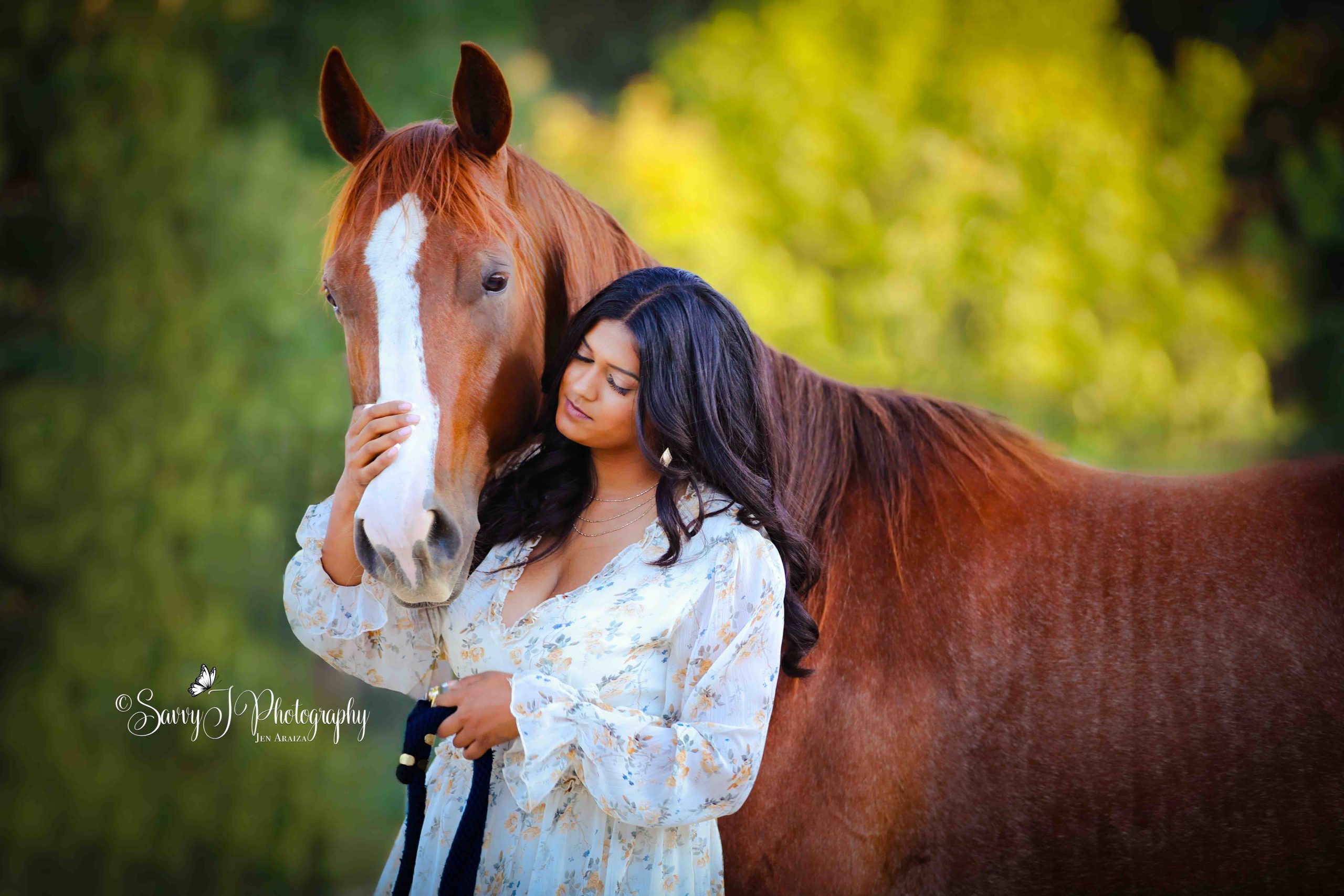 Equine Photographers Network – Community of horse photographers around ...