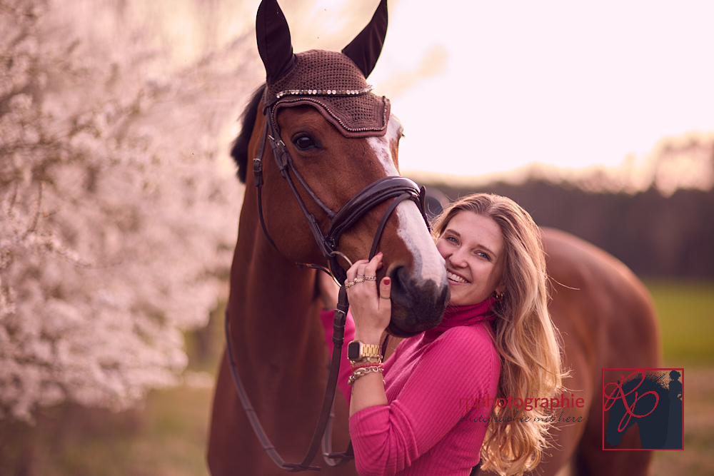 Equine Photographers Network – Community of horse photographers around ...