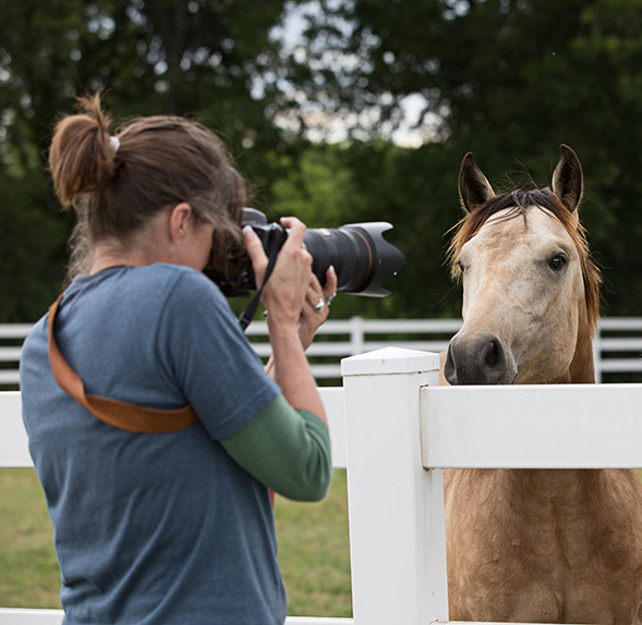 Camera Operations And Photography Tips - Equine Photographers Network